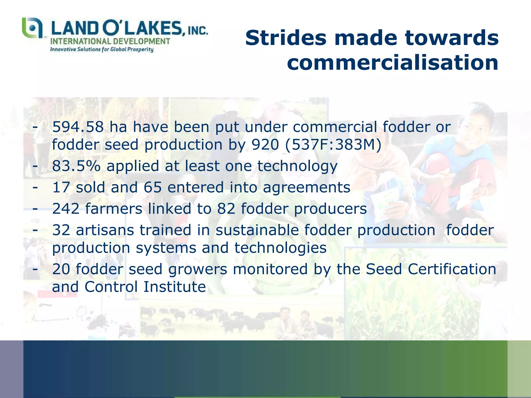 Commercialisation of fodder & fodder seed production by louise mugweni ...