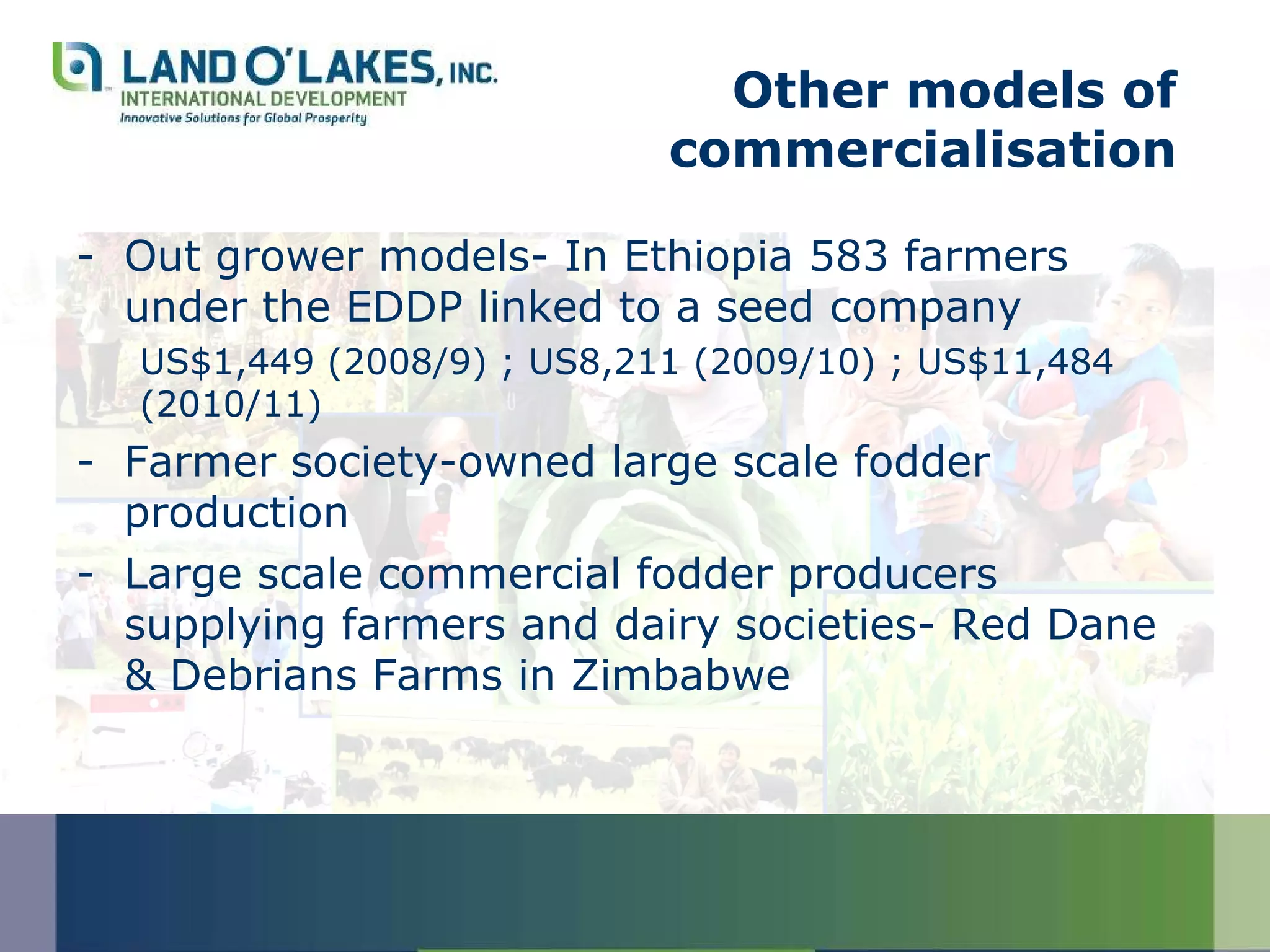 Commercialisation of fodder & fodder seed production by louise mugweni ...