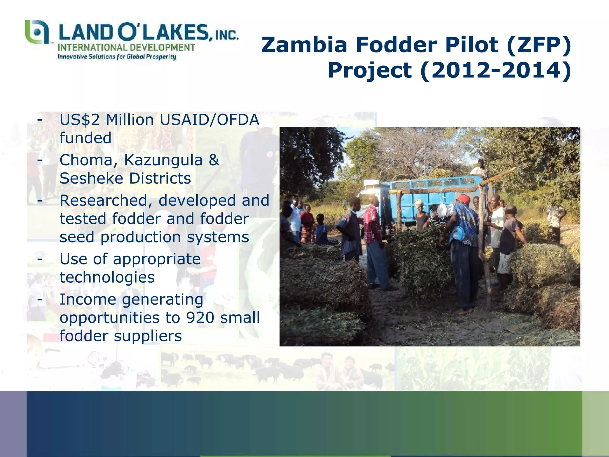 Commercialisation of fodder & fodder seed production by louise mugweni ...