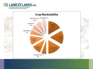Commercialisation of fodder & fodder seed production by louise mugweni ...