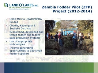Commercialisation of fodder & fodder seed production by louise mugweni ...