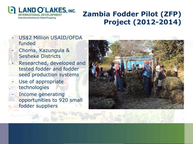 Commercialisation of fodder & fodder seed production by louise mugweni | PPT