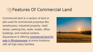 Commercial Land In Bhubaneswar.pptx