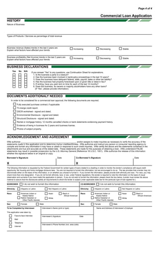Commercial Loan App | PDF