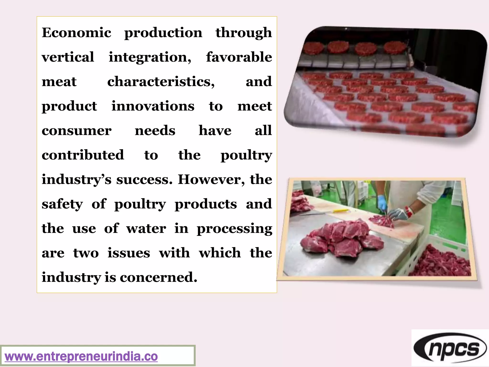 Commercial Meat Processing. Meat Industry | PPTX