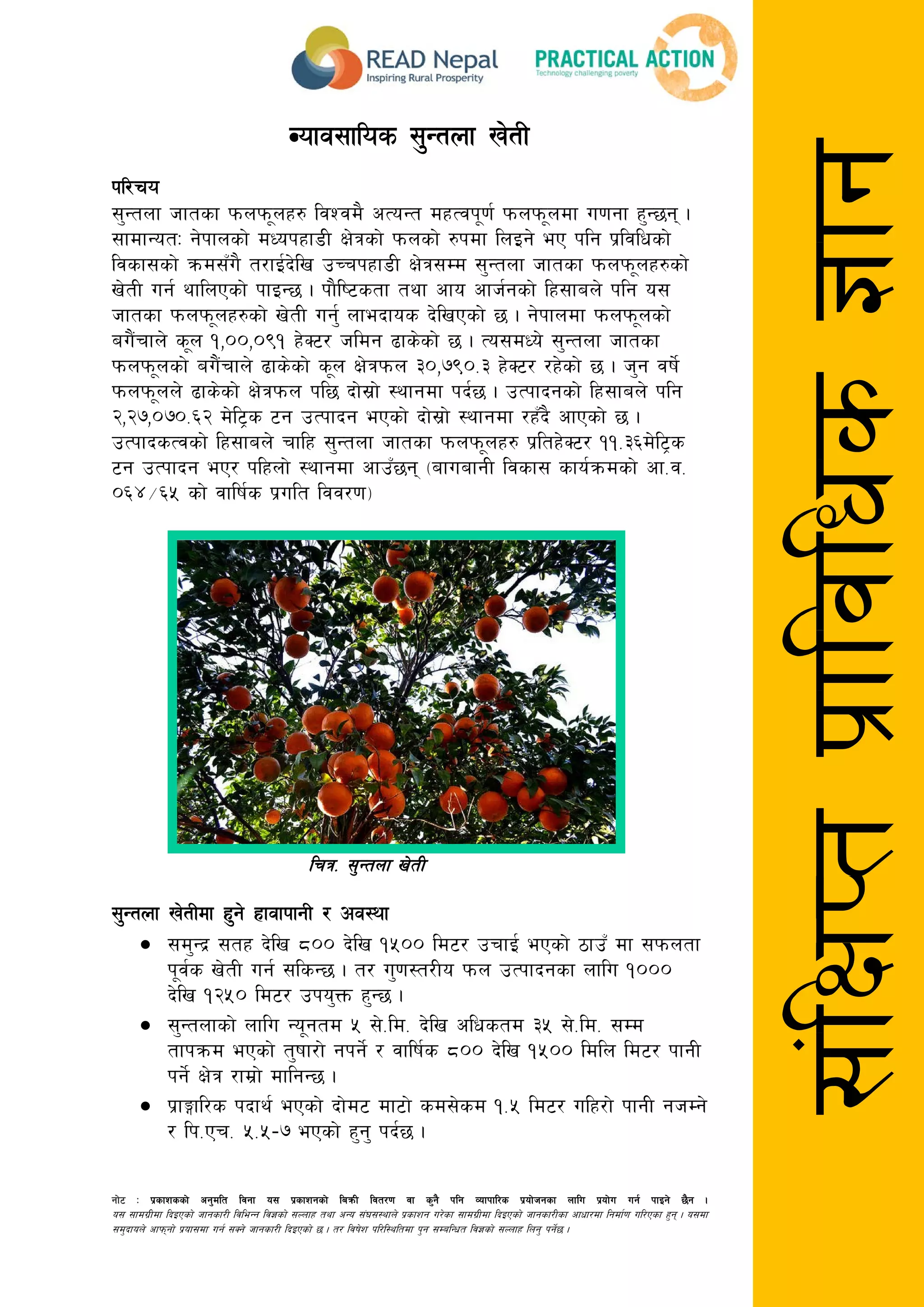 Commercial orange farming (व्यावसायिक सुन्तला खेती) | PDF