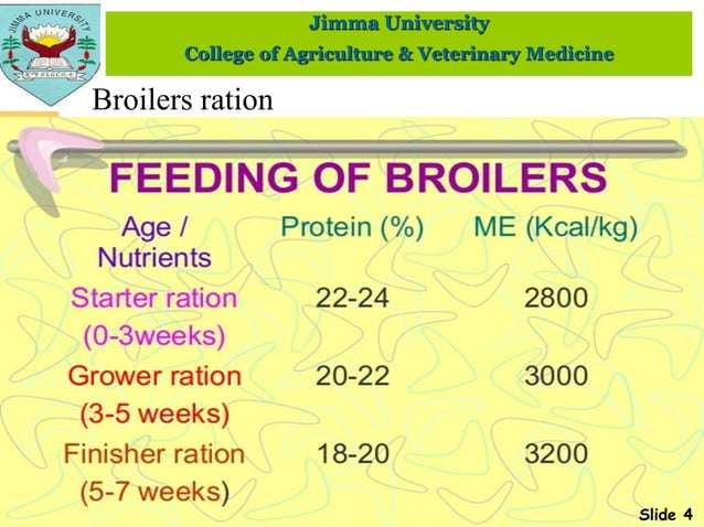 Commercial poultry ration in Ethiopia.pptx