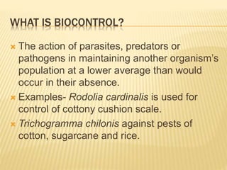 Commercial production biocontrol agent | PPTX