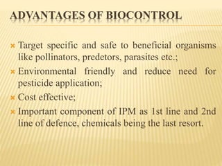 Commercial production biocontrol agent | PPTX