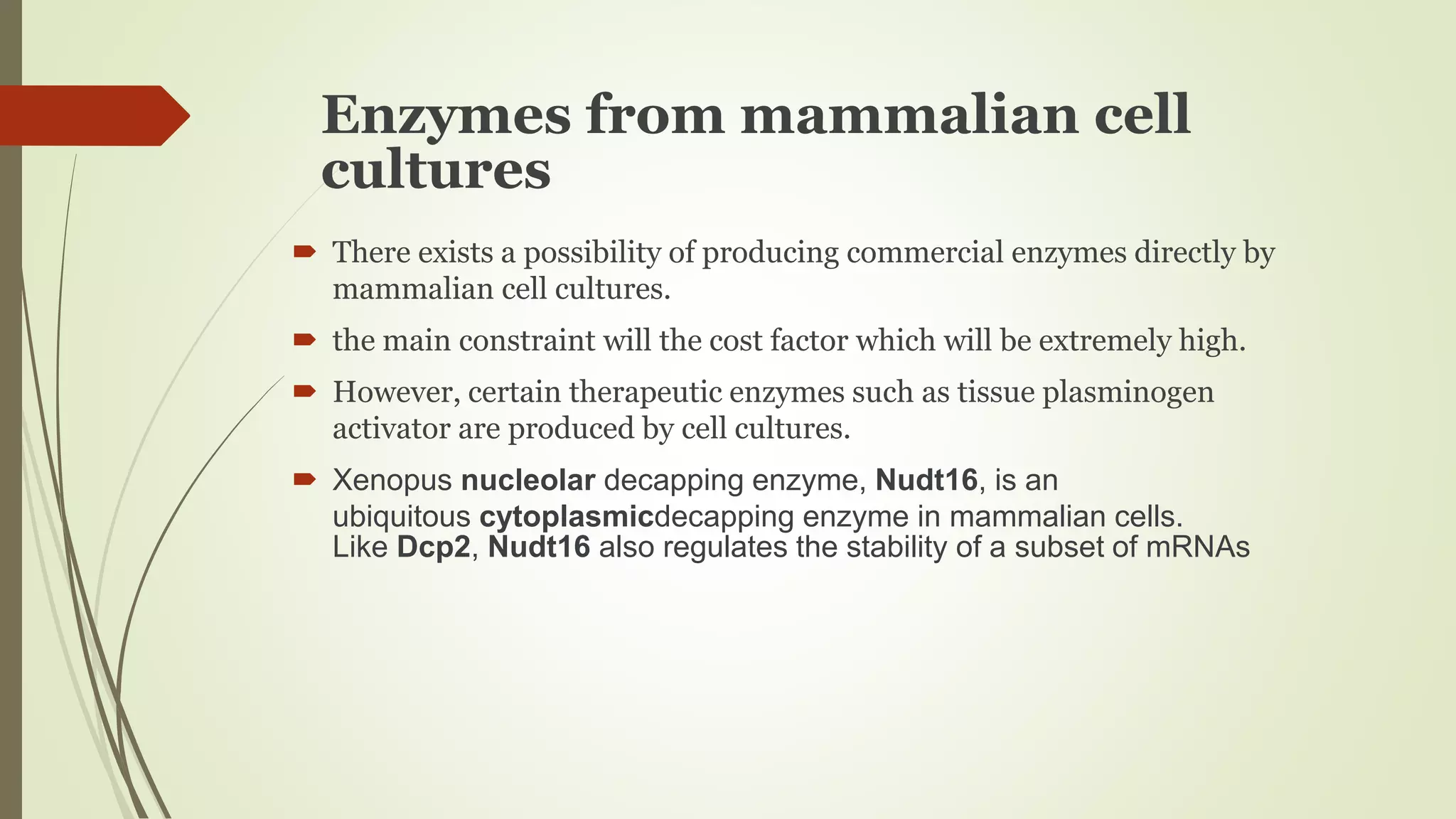 Commercial production of enzyme | PPTX