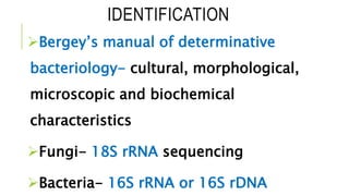 COMMERCIAL PRODUCTION OF ENZYMES.pptx | Chemistry | Science