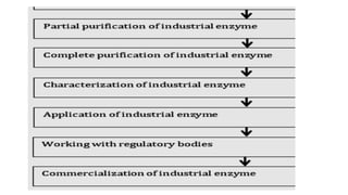 COMMERCIAL PRODUCTION OF ENZYMES.pptx | Chemistry | Science