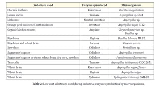 COMMERCIAL PRODUCTION OF ENZYMES.pptx | Chemistry | Science