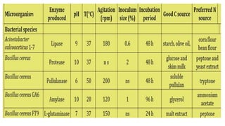 COMMERCIAL PRODUCTION OF ENZYMES.pptx | Chemistry | Science