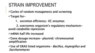 COMMERCIAL PRODUCTION OF ENZYMES.pptx