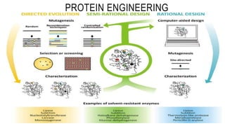 COMMERCIAL PRODUCTION OF ENZYMES.pptx | Chemistry | Science