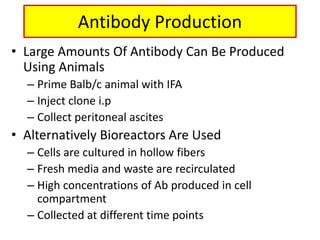 Commercial production of monoclonal antibodies & mABs produce by rdt | PPTX