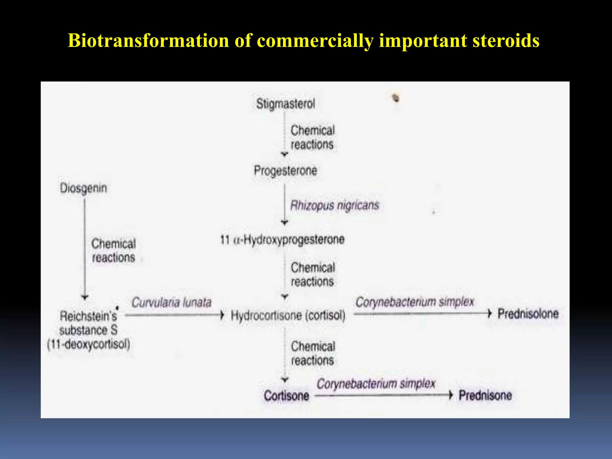 Commercial Production/Biotransformation of Steroids | PPTX