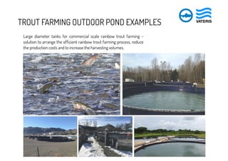 Commercial scale rainbow trout farm_450T per year_Investment project ...