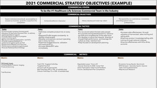 Commercial Strategy Plan | PDF