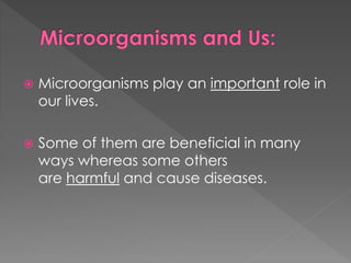 Commercial use of microorganisms | PPTX