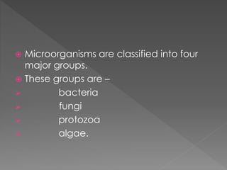 Commercial use of microorganisms | PPTX