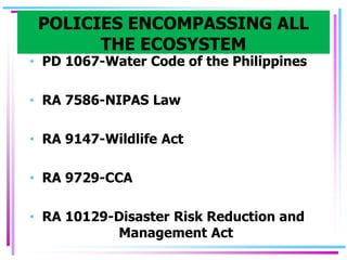 Comm hornilla general policies lecture | PDF