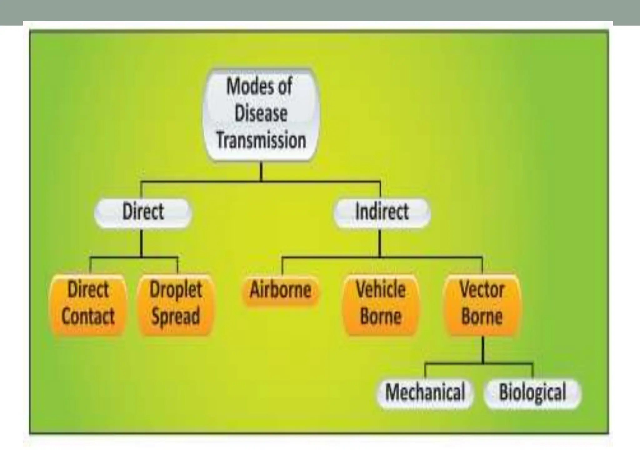 communicable disease introduction .pptx