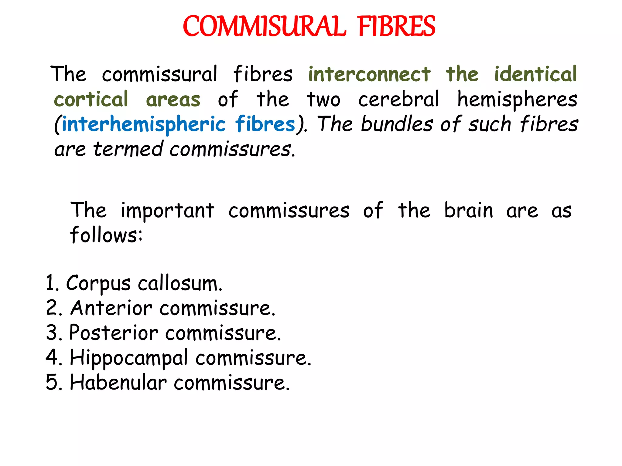 Commissural fibres | PPTX