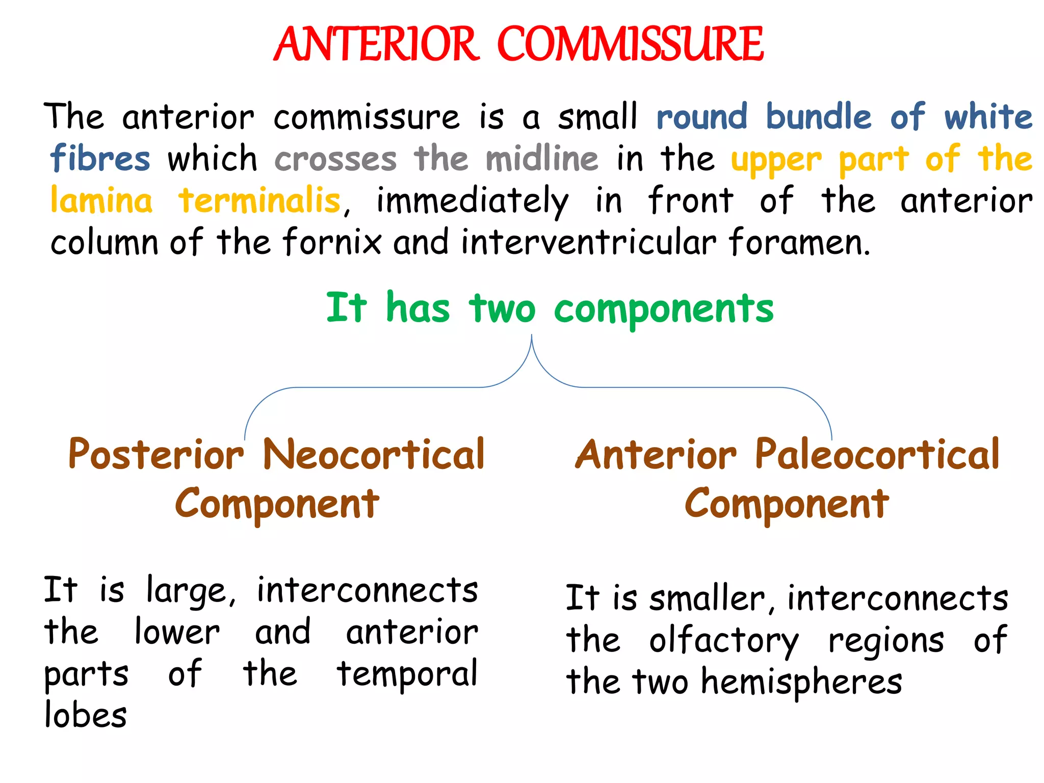 Commissural fibres | PPTX