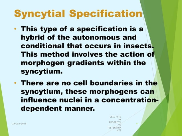 Commitment | PPTX | Biological Sciences | Science