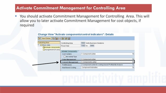 Commitment management in sap | PDF
