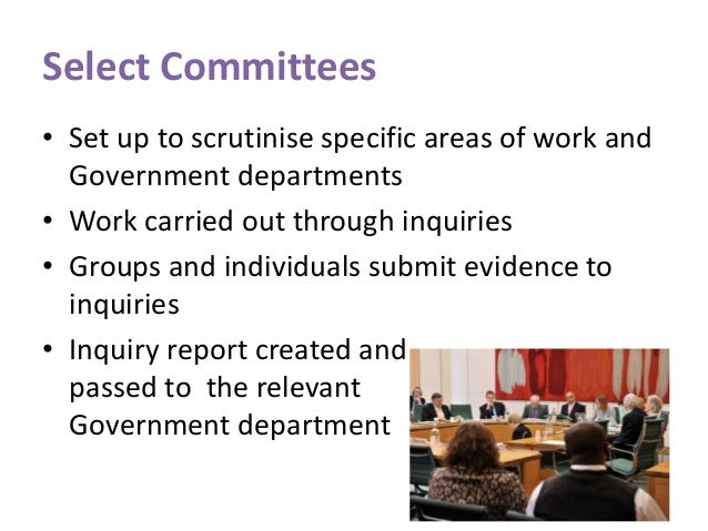 Introduction to Select Committees