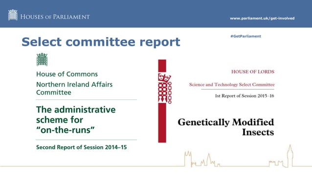 Introduction to Select Committees | PPTX