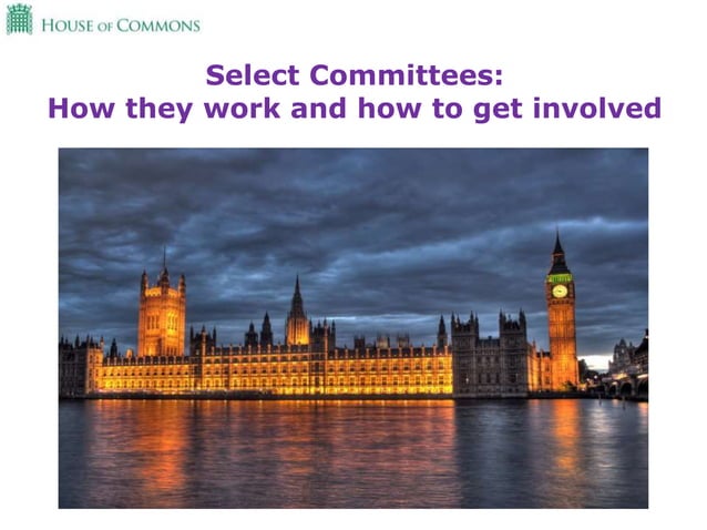 Select Committees | PPT