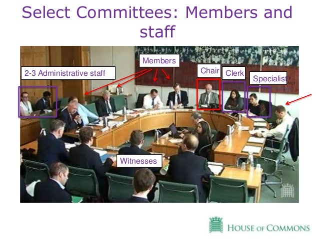 Select Committees