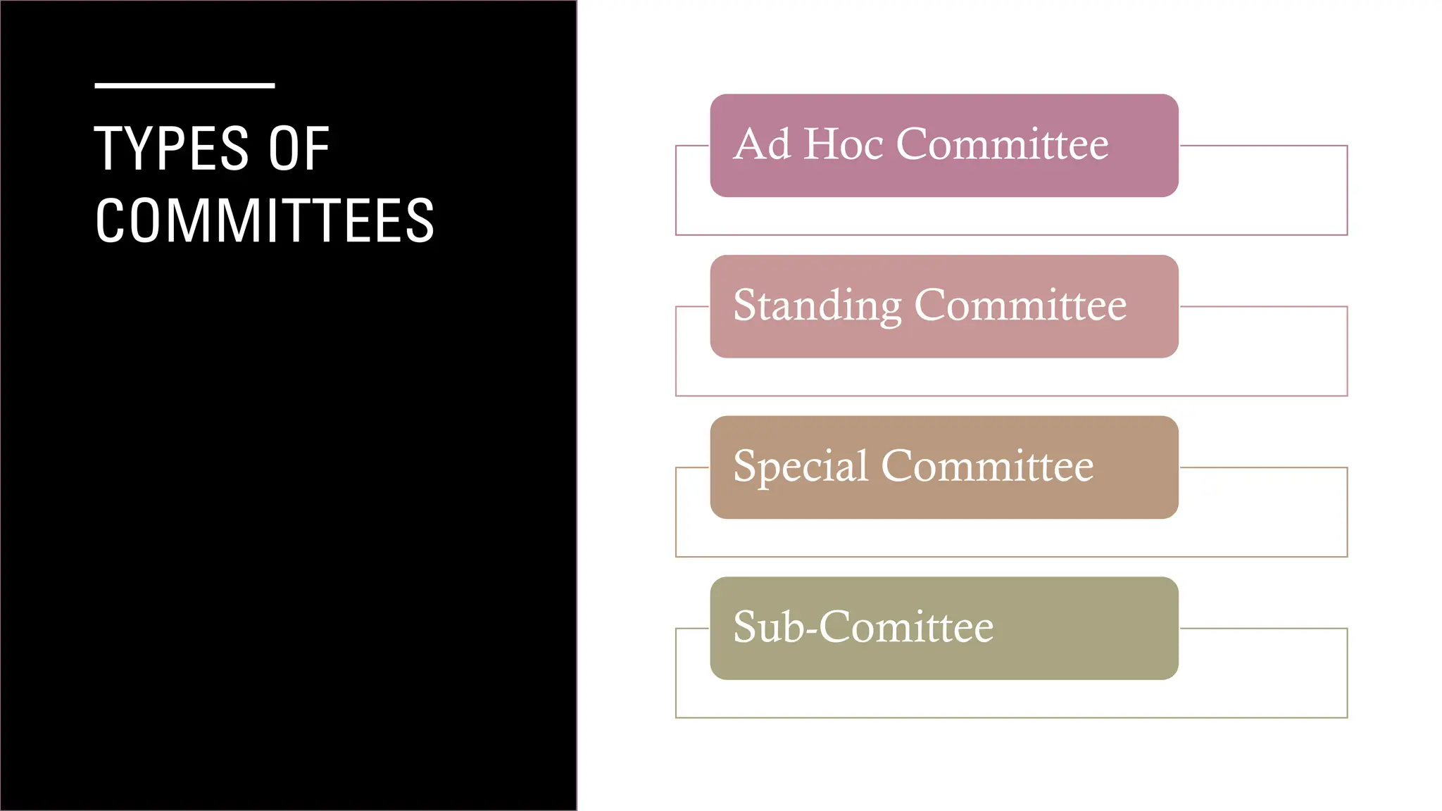 Planning of Committees and Conferences.pdf