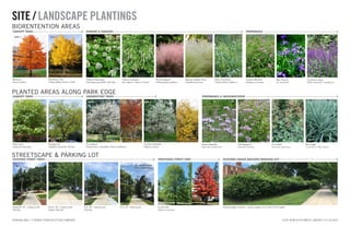 SOW Library Comm mtg presentation 12 14-17 | PDF