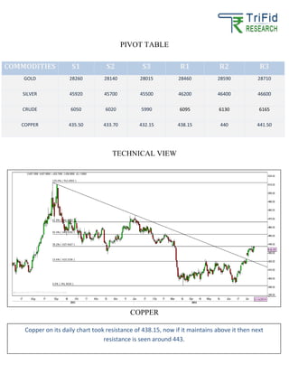 Commodity Market Basics News | PDF