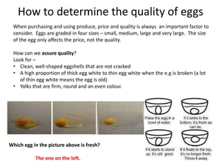 Commodity eggs | PPTX