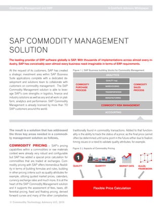 Commodity Management and ERP | PDF
