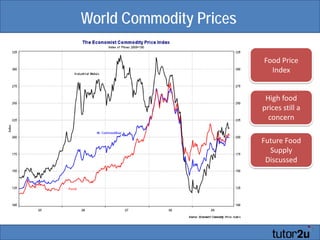 Commodity Prices | PDF