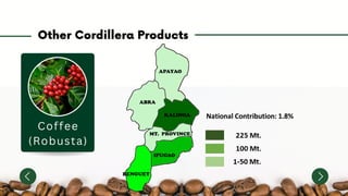 Major Commodity in the Cordillera Philippines | PDF