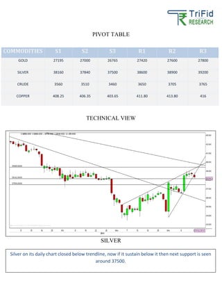 Commodity tips by the experienced analyst | PDF