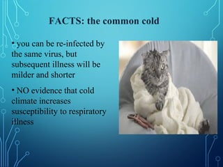 Common cold | PPT