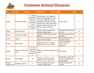 Common-Diseases-Chart-1.pdf diseases of animals | PDF
