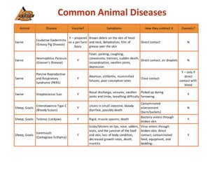 Common-Diseases-Chart-1.pdf diseases of animals | PDF