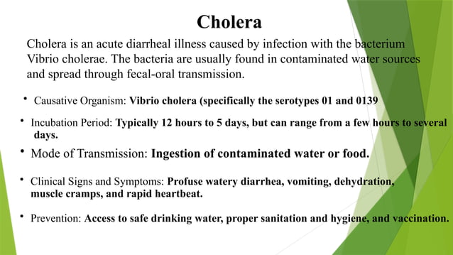 Common-Infectious-Diseases-A-Comprehensive-Overview (1).pptx