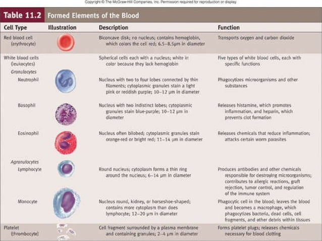 Common Laboratory Procedures | PPT