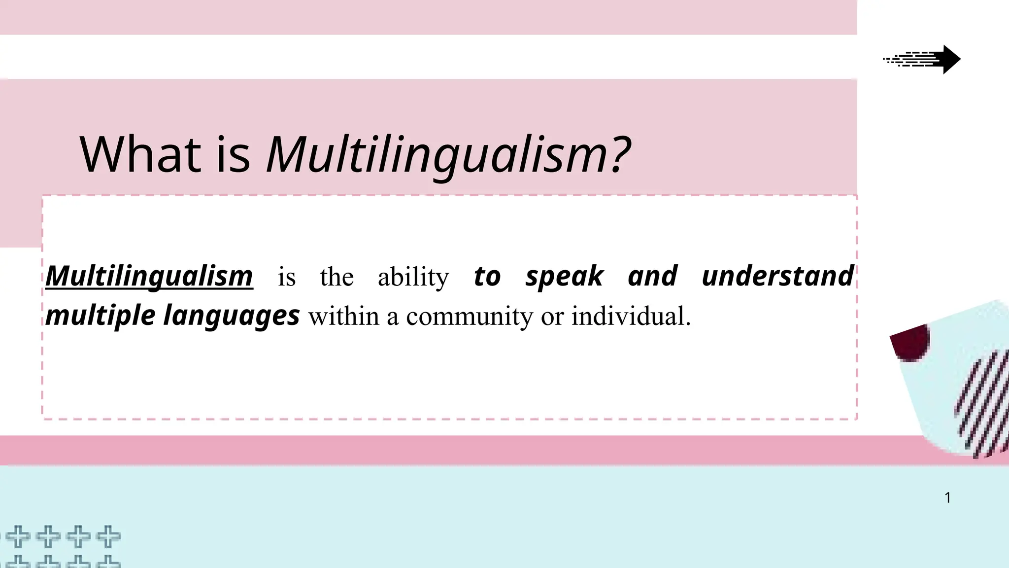 COMMON-LANGUAGE-VS.-MULTILINGUALISM.pptx